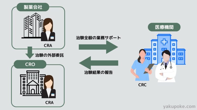 【独自取材】CRA（臨床開発モニター）とは？仕事内容や年収について聞く | ヤクポケ